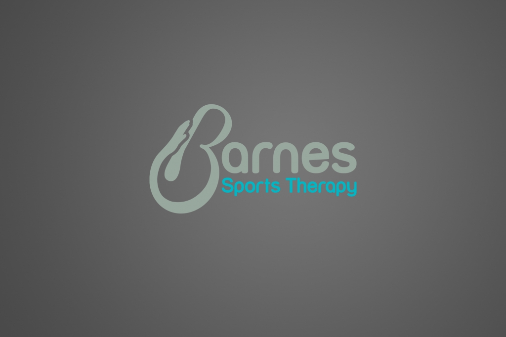 Barnes Logo Design | Alexi Vasiliou